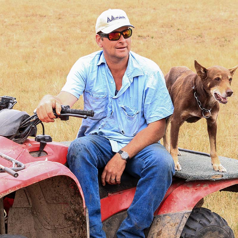 Alpine Angus - The Alpine Angus team